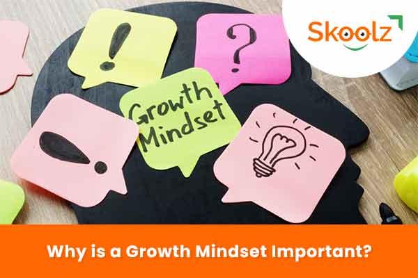 Promoting a Growth Mindset in Students from Kindergarten to 10th Grade